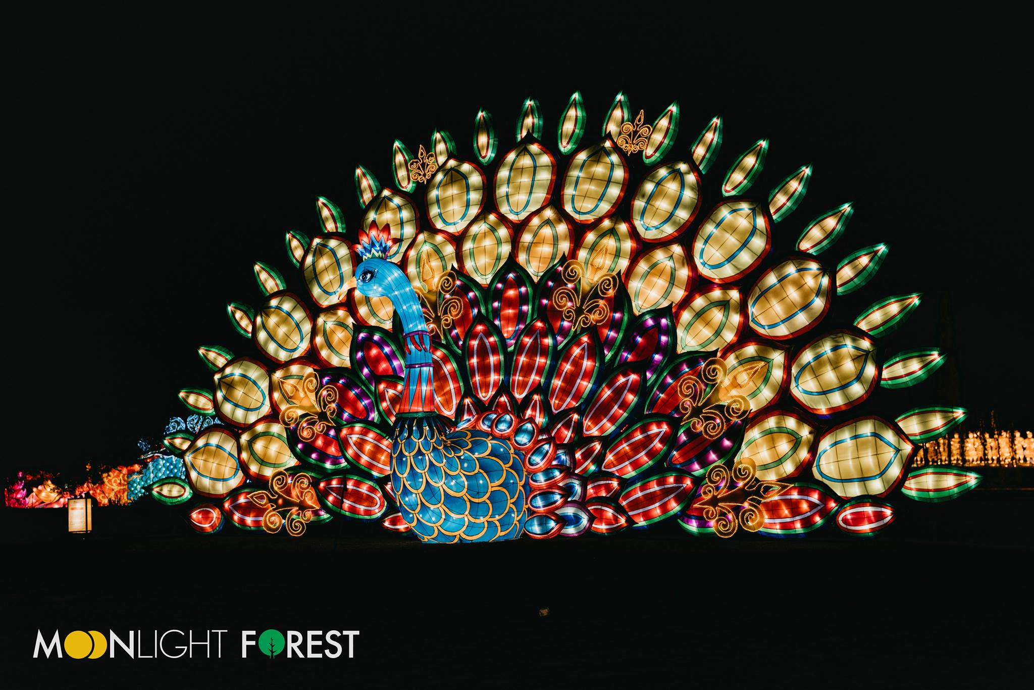 LA LIFE: Magical Day, Edwardian Christmas, Moonlight, Boat Parade ...