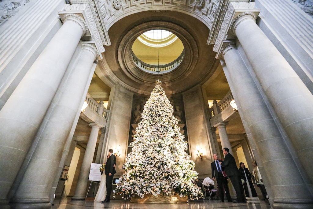 SF LIFE: Holiday Happenings, Lights, Food - The Three Tomatoes