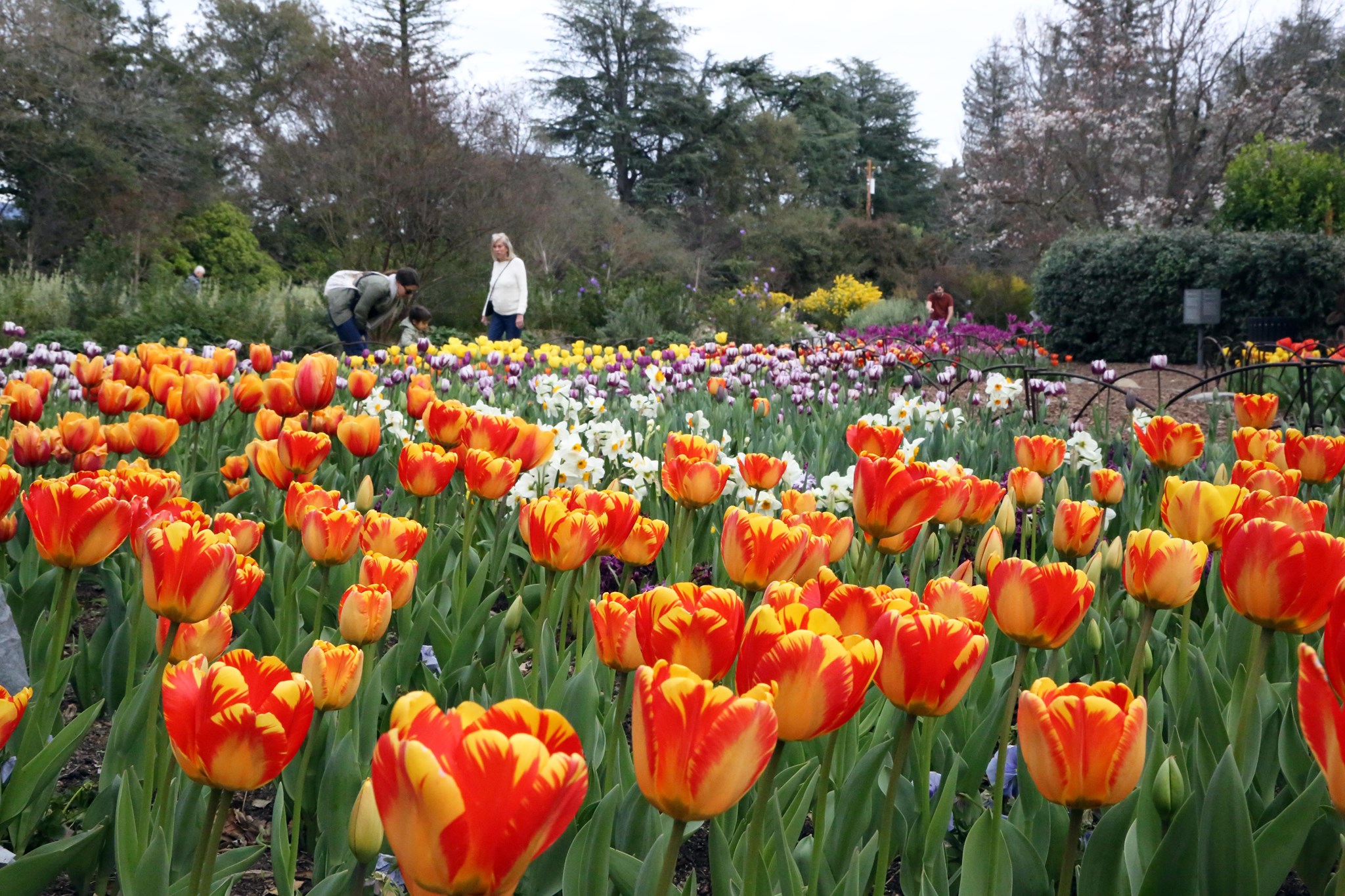 LA LIFE: Gardens, Women’s History, Virtual Tour and Giving - The Three ...