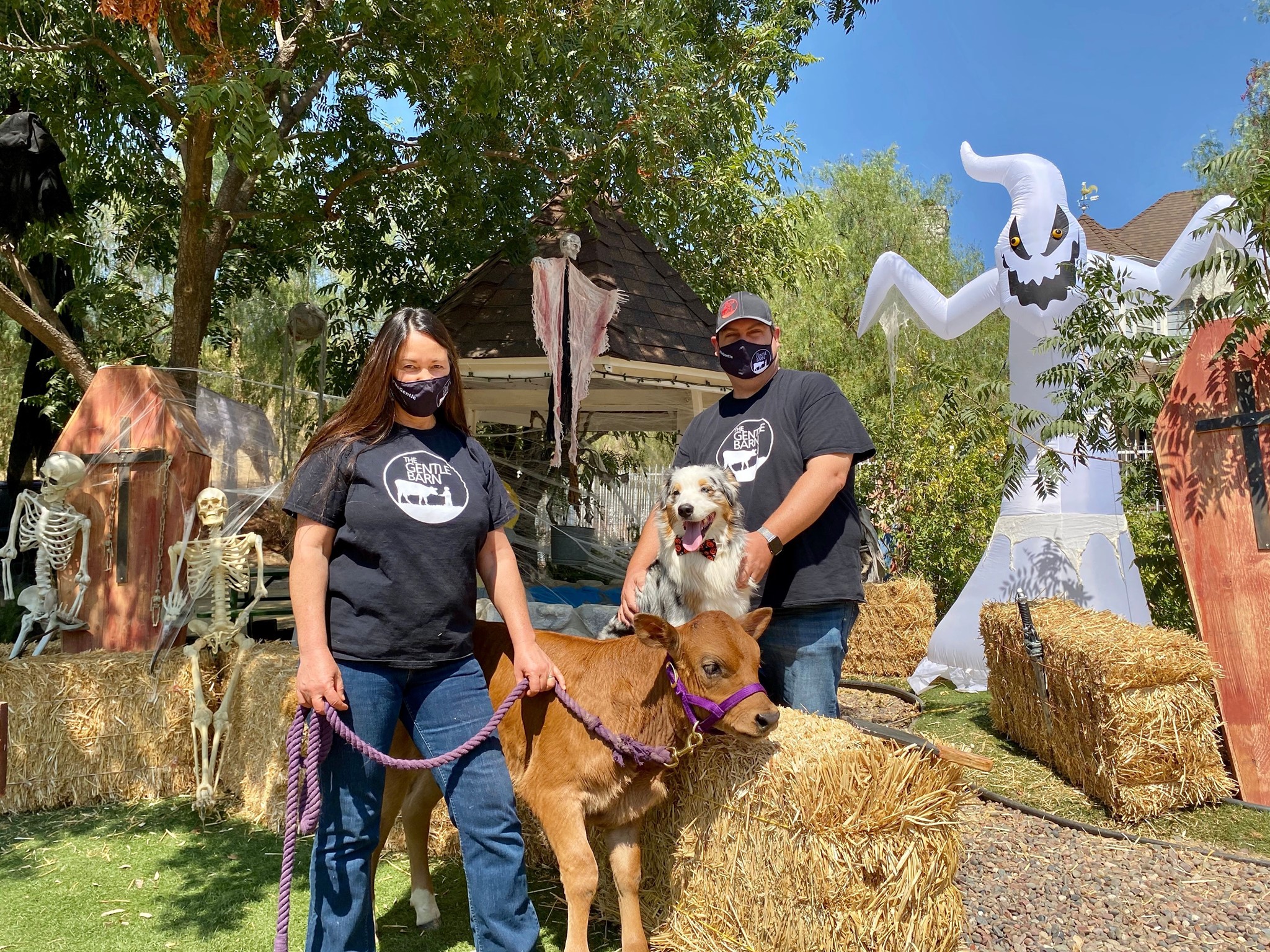 The-Gentle-Barn - The Three Tomatoes