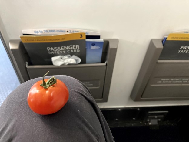 Tomato Travel Report - The Three Tomatoes