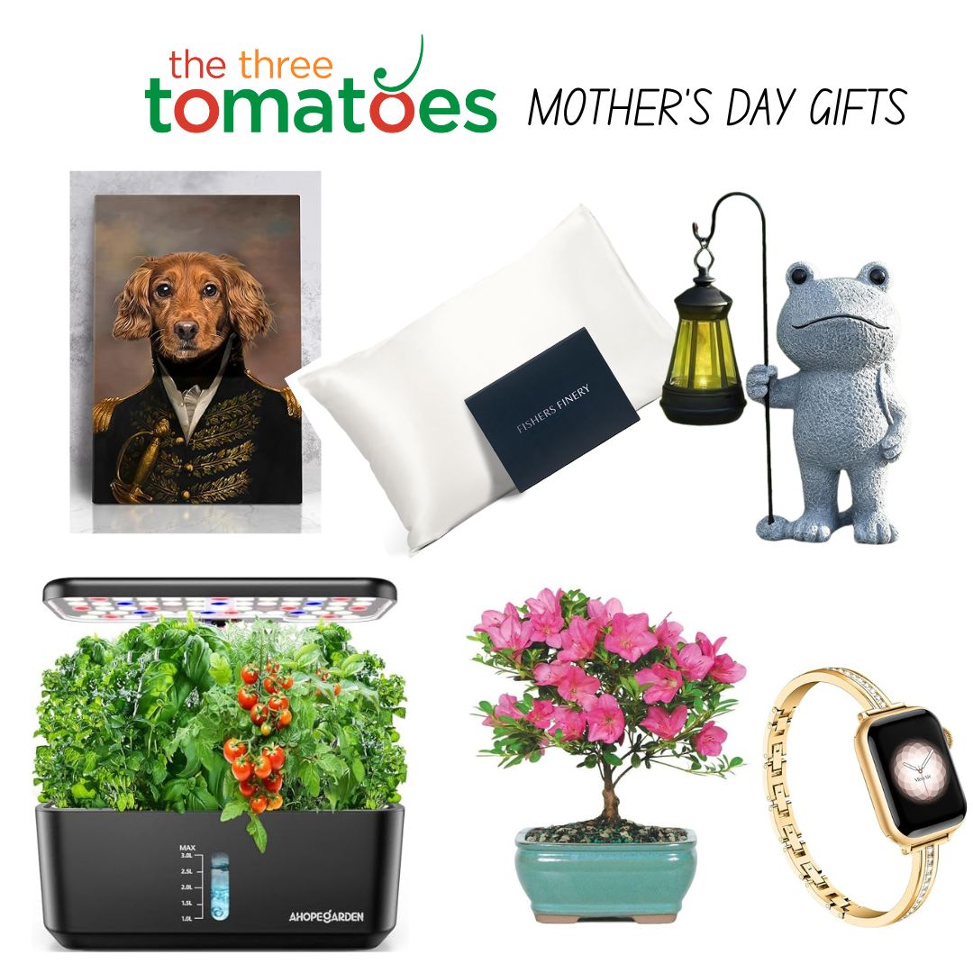 6 Fun Mother's Day Gifts under $40 - The Three Tomatoes