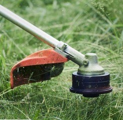 weed whacker - The Three Tomatoes